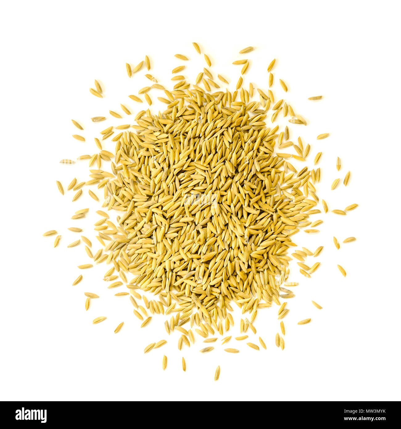 Tas de riz paddy et les semences de riz sur le fond blanc pour l ...