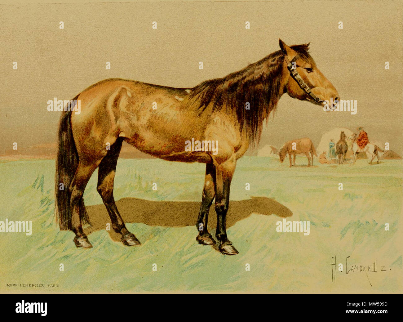 Des steppes Banque de photographies et d’images à haute résolution - Alamy