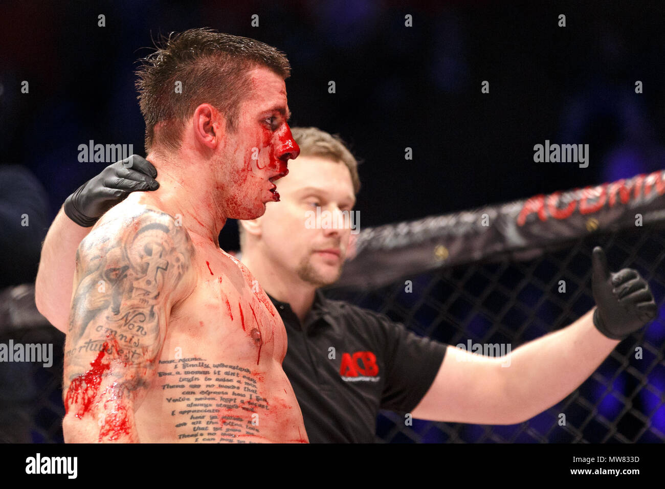 Combattant sanglant Banque de photographies et d’images à haute ...