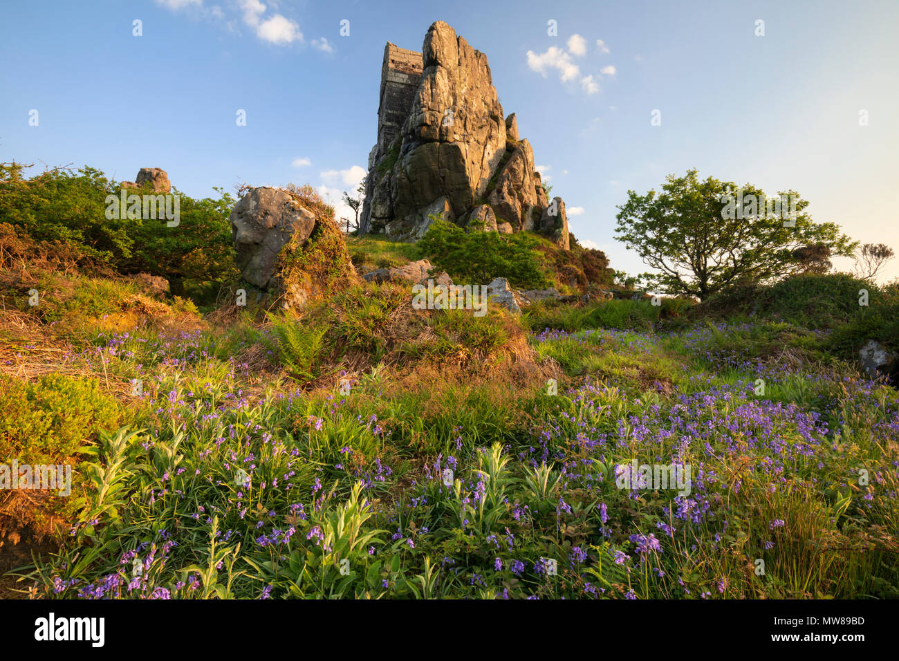 Fleurs de rocaille Banque de photographies et d’images à haute ...