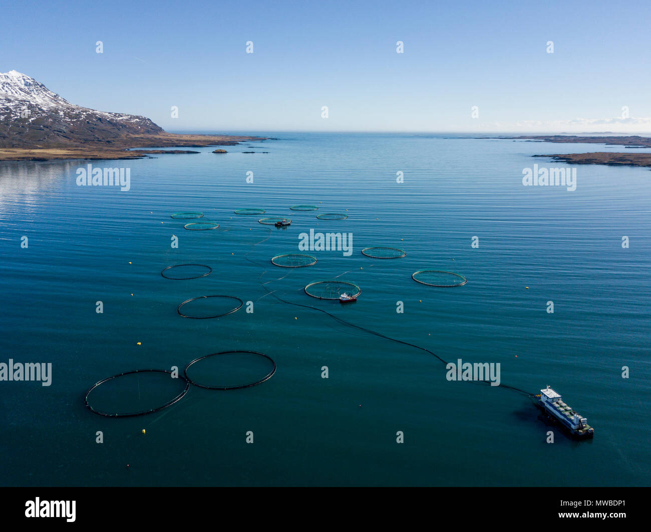 Élevage De Poissons Banque d'image et photos - Alamy