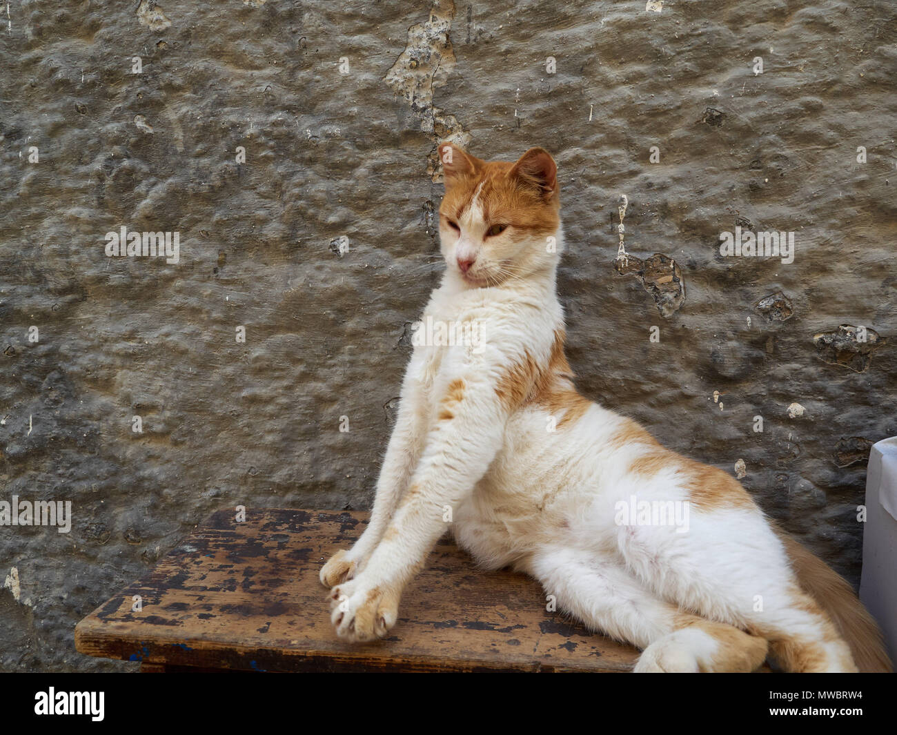 Taches rouges sur le corps Banque de photographies et d’images à haute ...