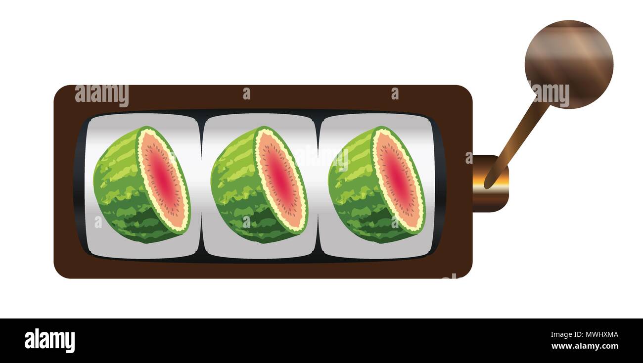 Melons cantaloup sur fond blanc Banque d'images vectorielles - Alamy