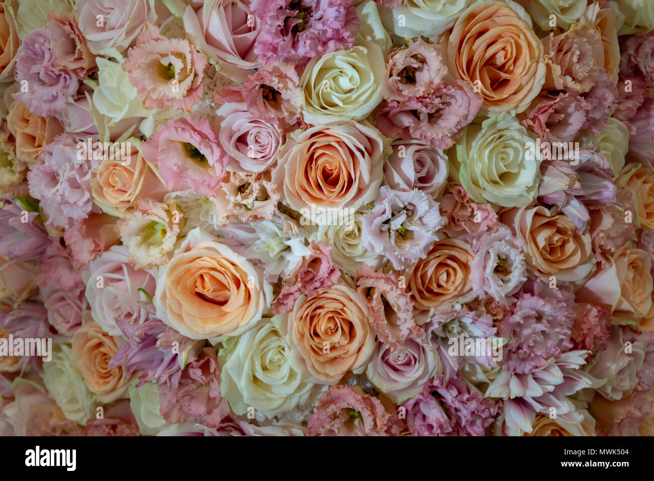 Bouquet de fleurs aux couleurs pastel Banque de photographies et d ...