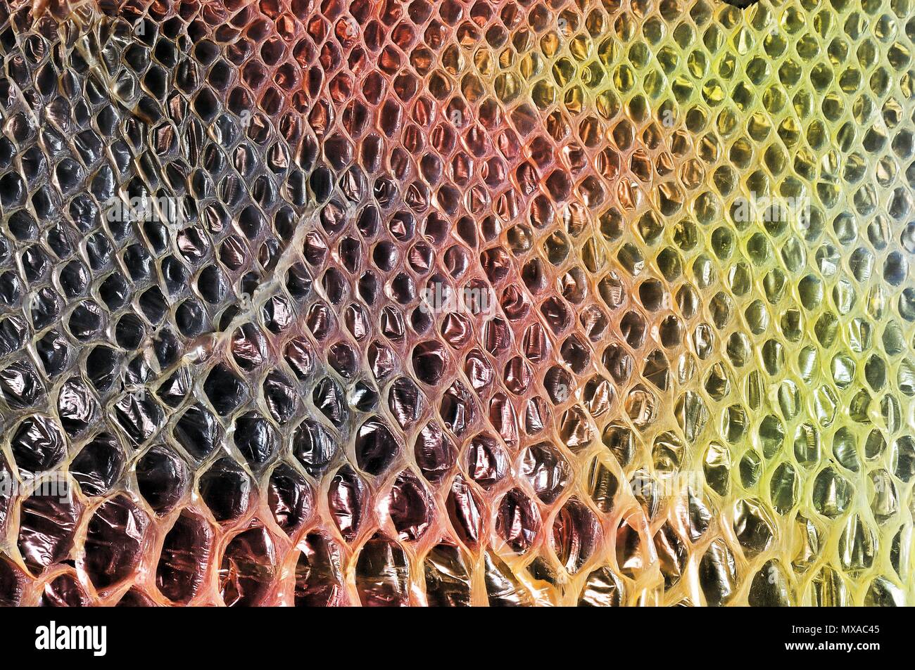 Snake leather cobra skin texture Banque de photographies et d’images à ...