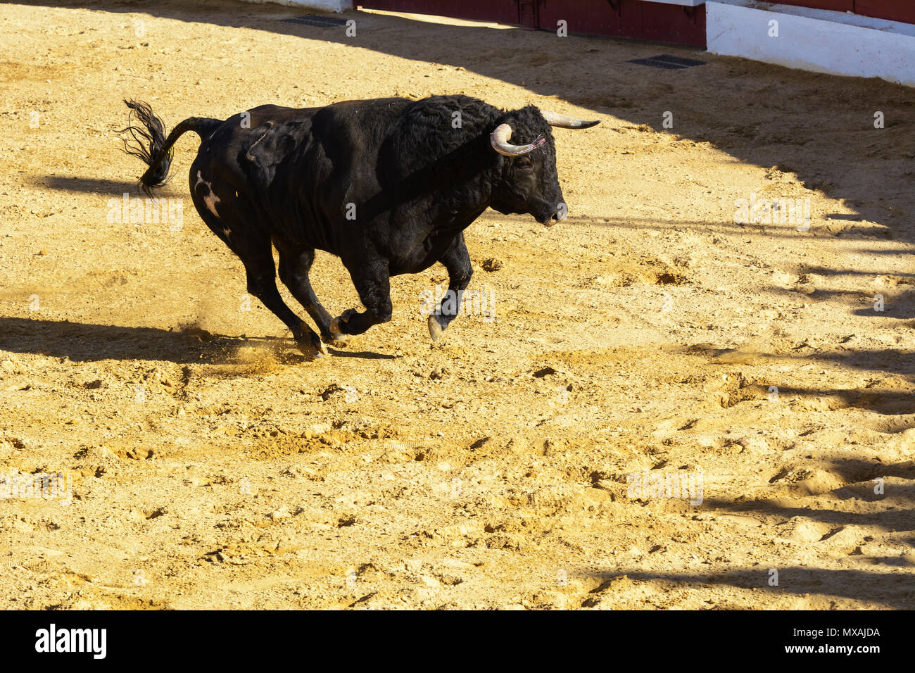 Matador combat taureau Banque de photographies et d’images à haute ...