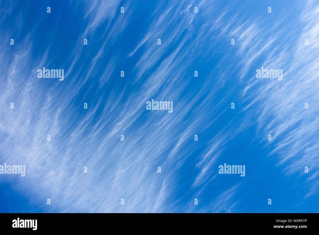 Cirrus fibratus Banque de photographies et d’images à haute résolution ...