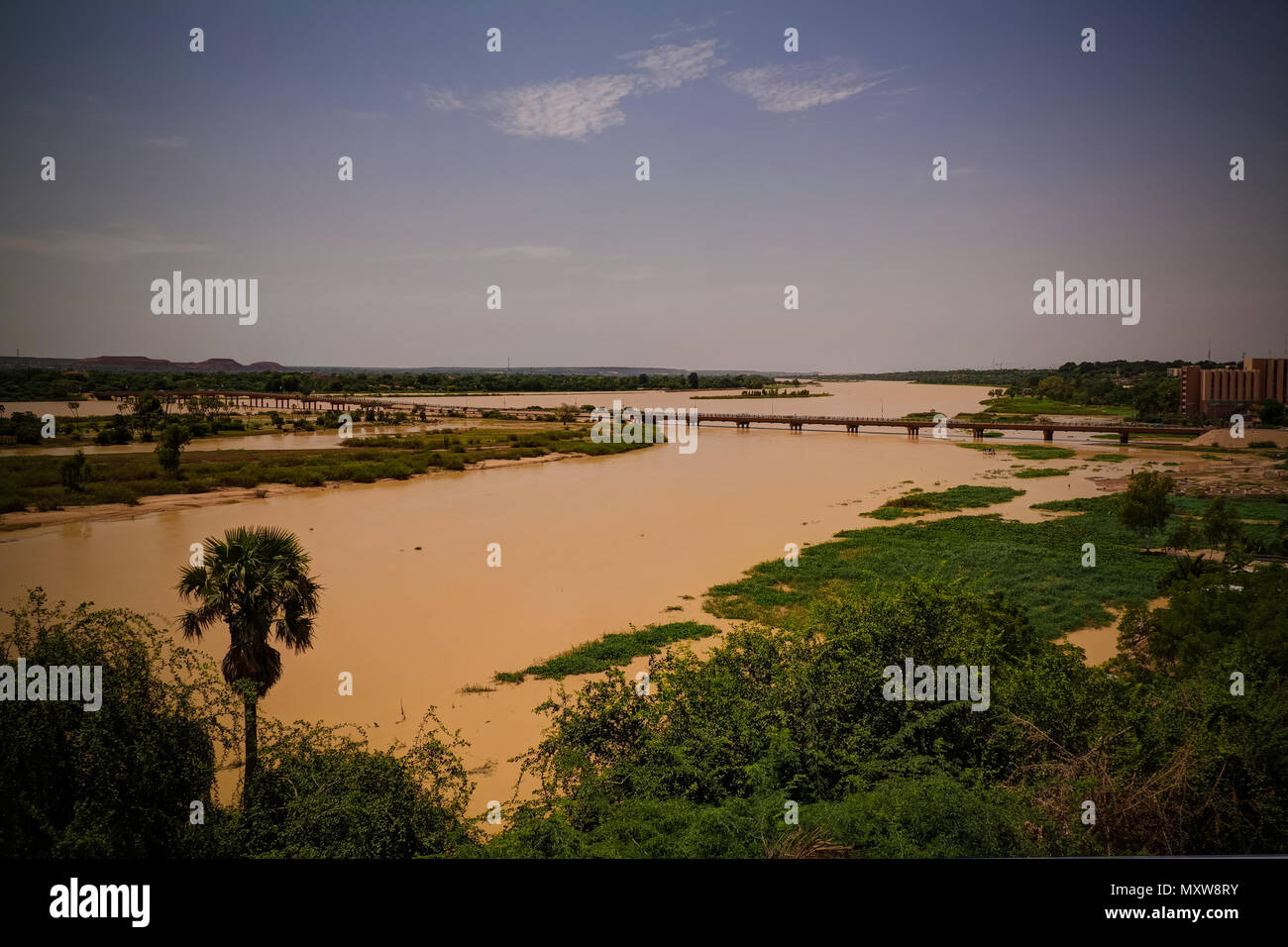 Arbre niamey niger afrique Banque de photographies et d’images à haute ...