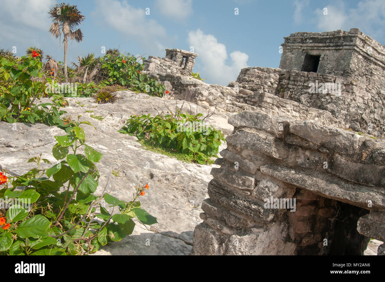 Tulum mayan ruins Banque de photographies et d’images à haute ...