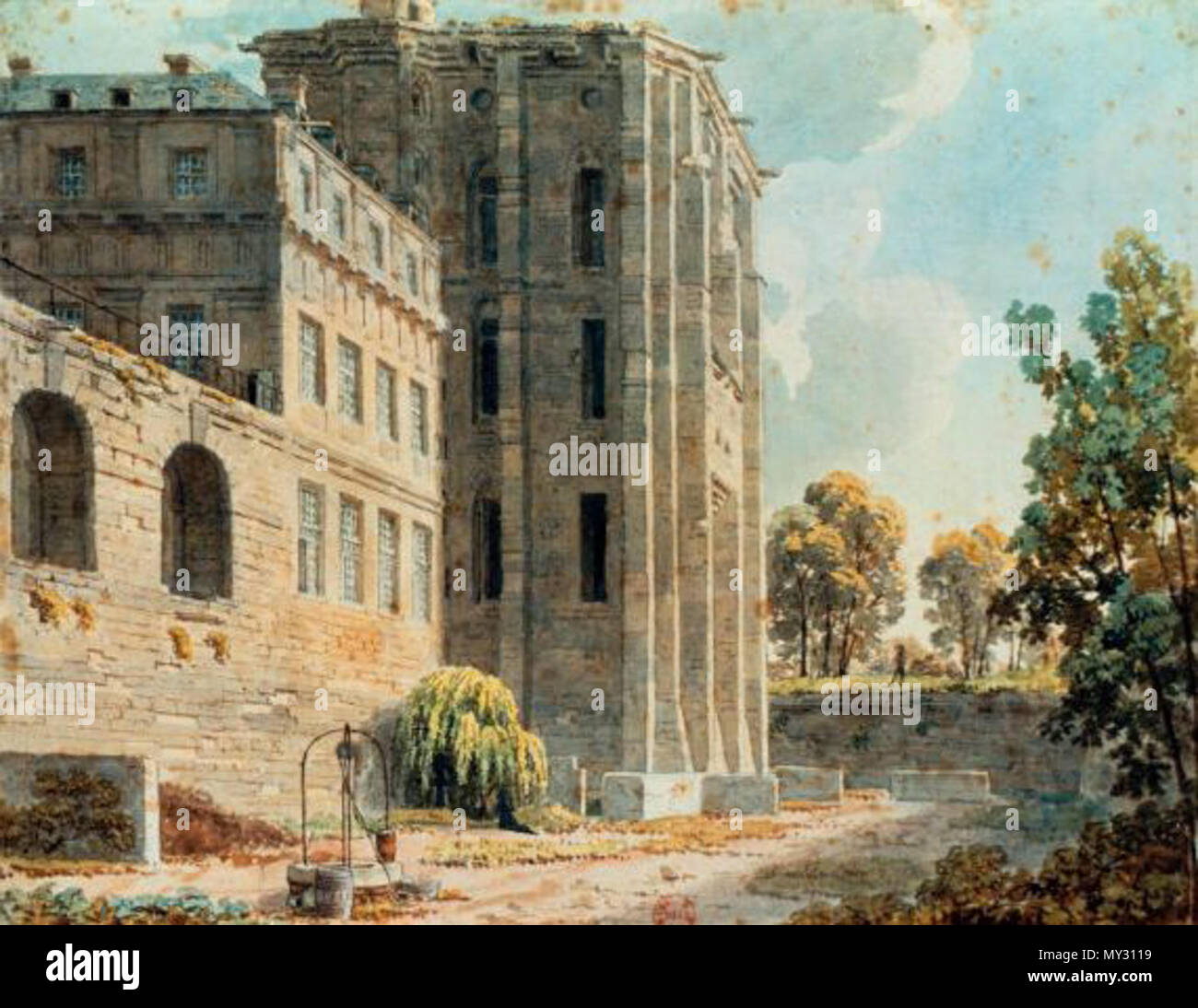 Jeune saule pleureur Banque de photographies et d’images à haute ...