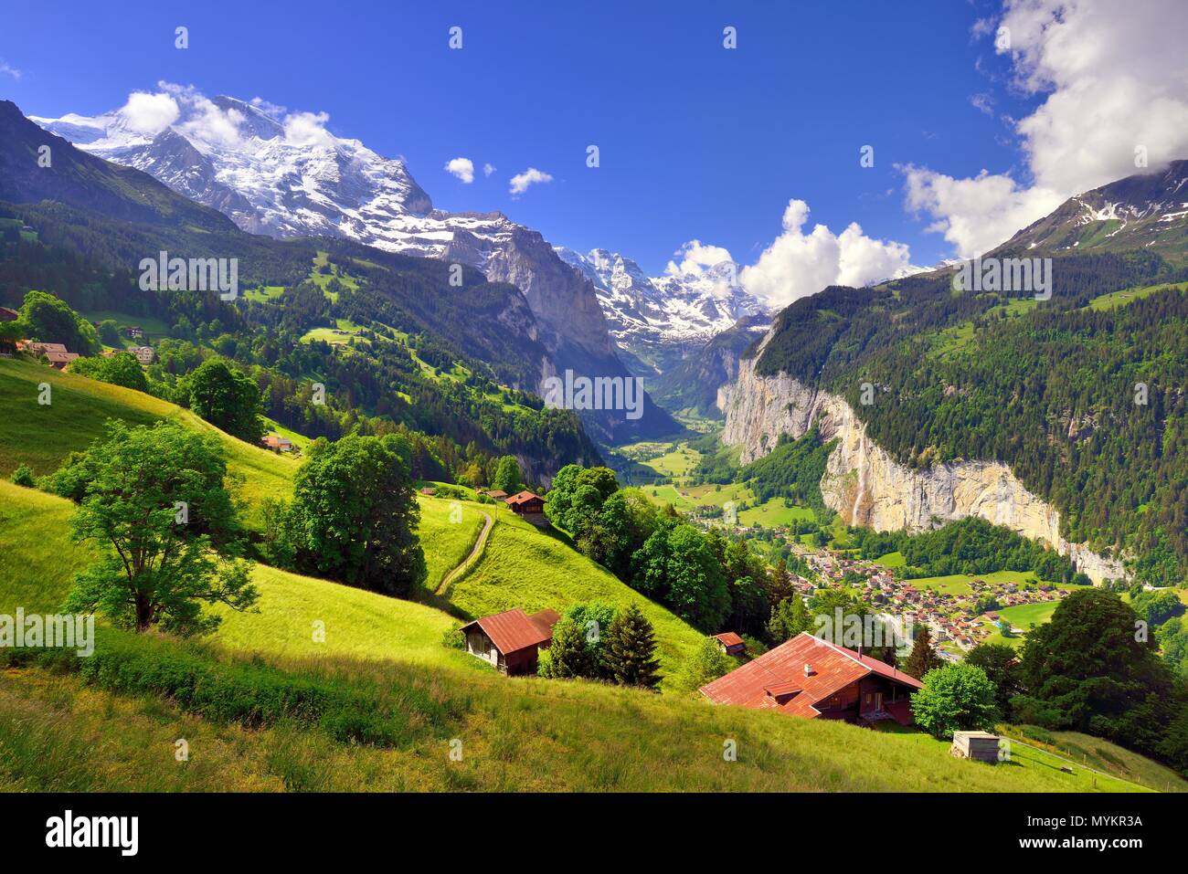 Mont bernois Banque de photographies et d’images à haute résolution - Alamy