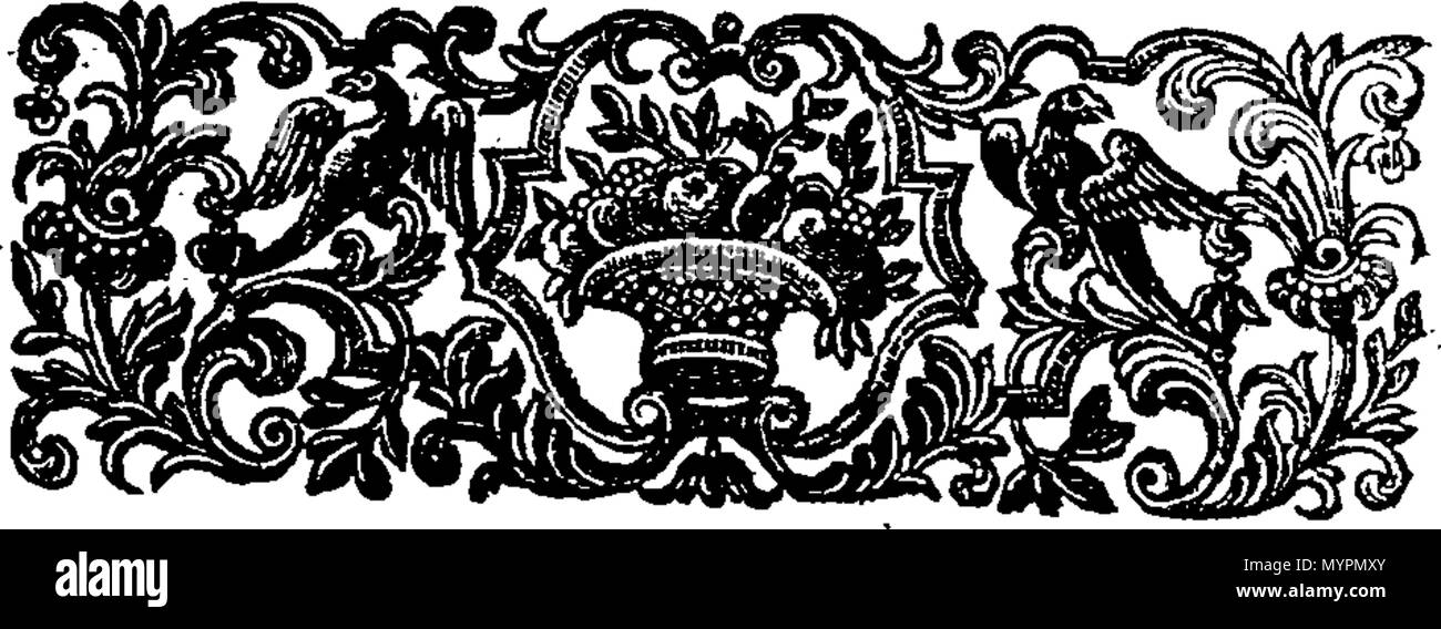 Dissection anatomique Banque de photographies et d’images à haute ...