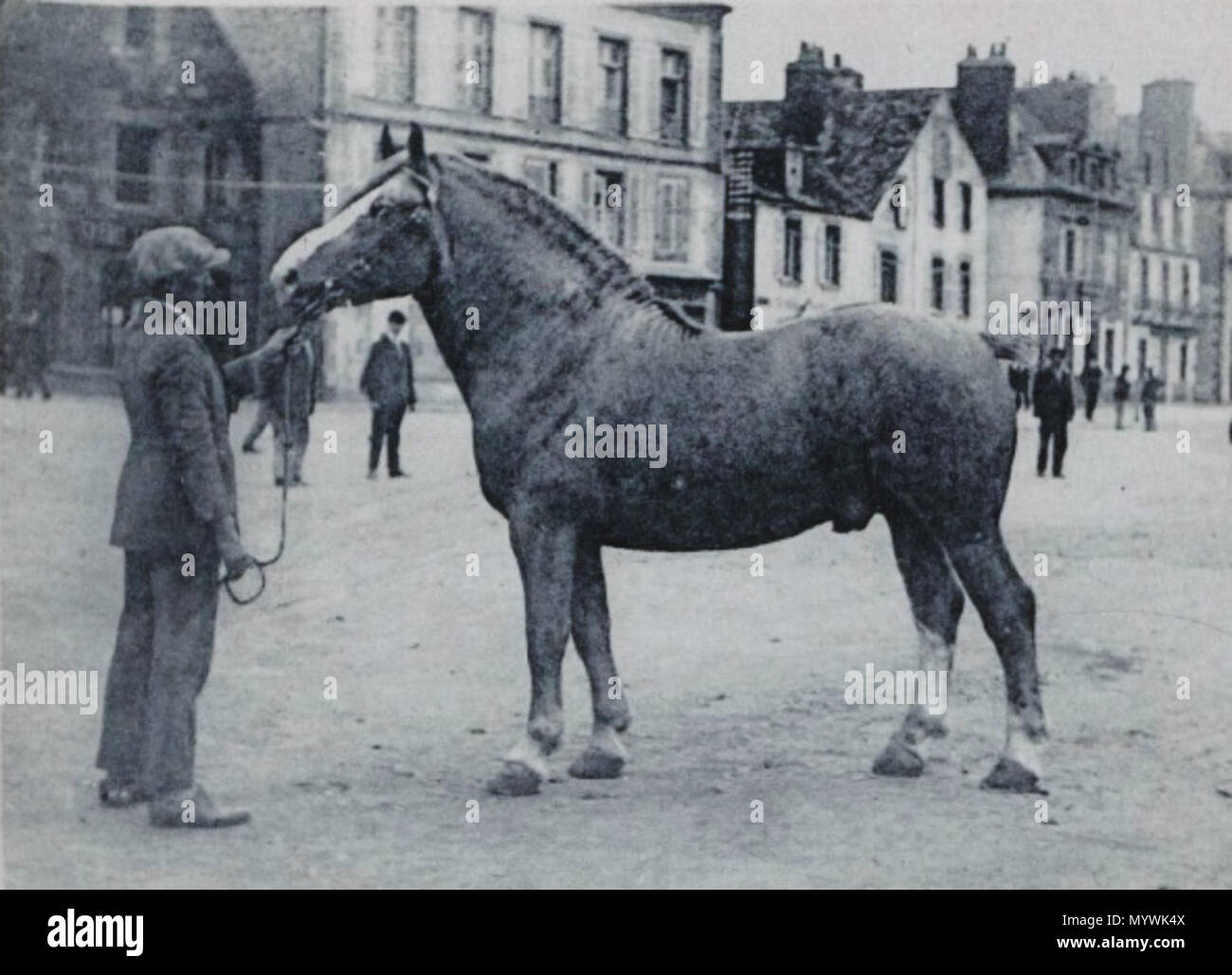 Postier breton Banque de photographies et d’images à haute résolution ...