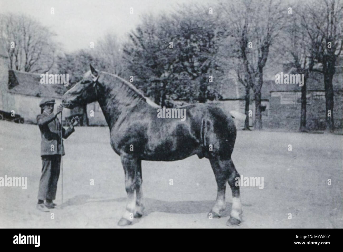 Postier breton Banque de photographies et d’images à haute résolution ...