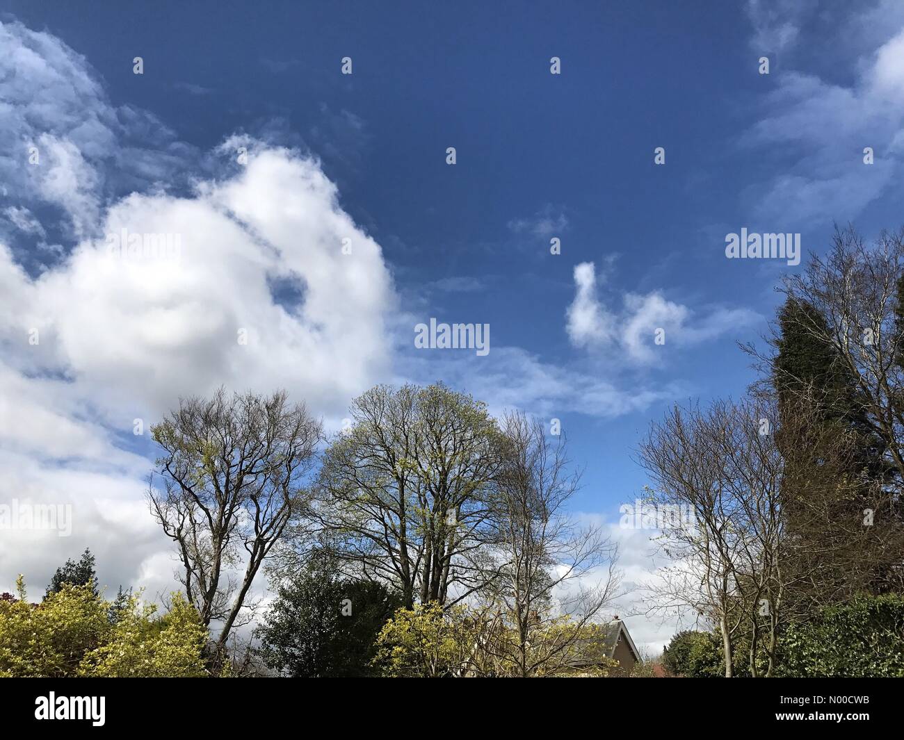 Busbridge Ln, Godalming, UK. Apr 17, 2017. UK Météo : ensoleillé, à ...