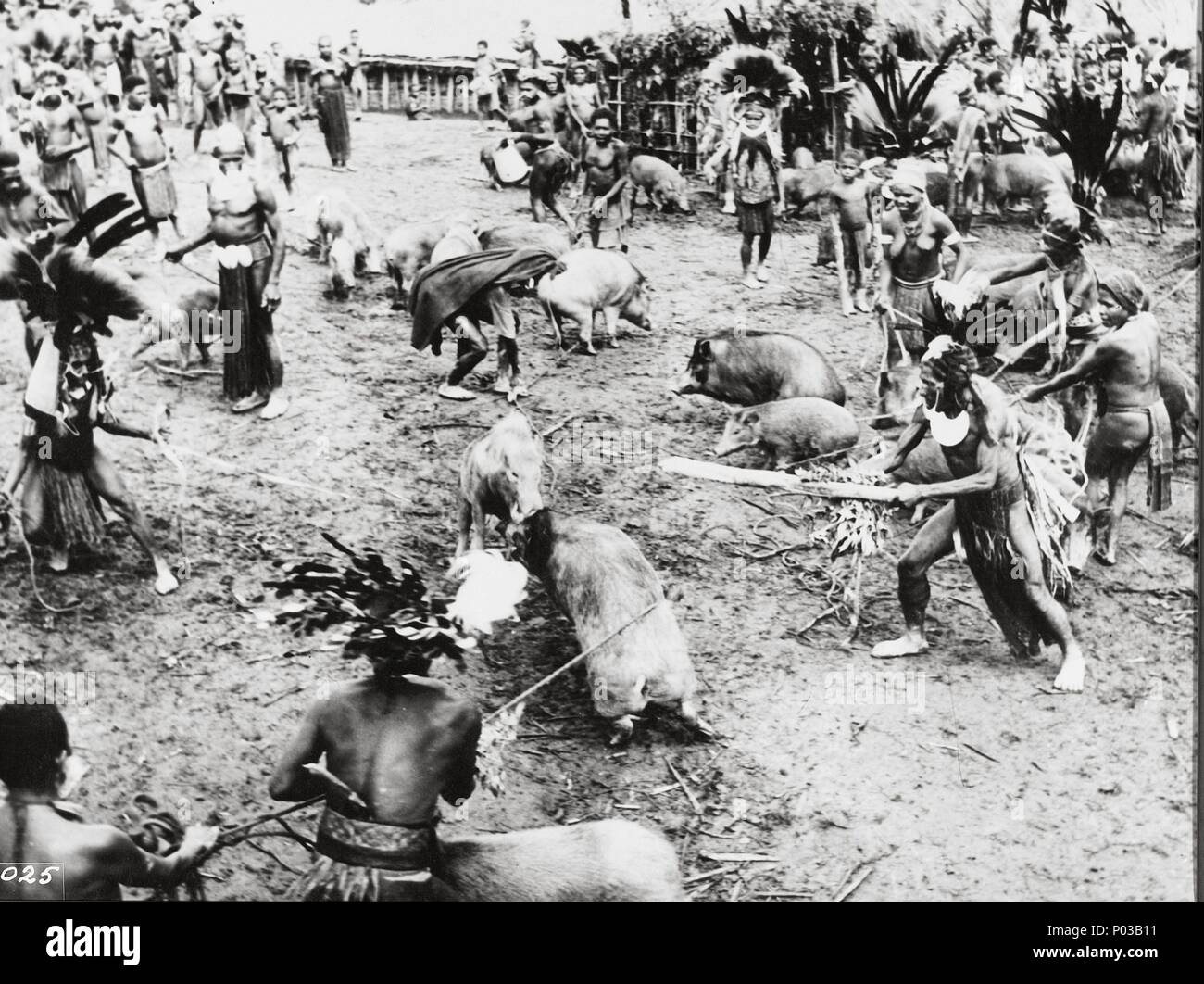 Mondo cane Banque de photographies et d’images à haute résolution - Alamy