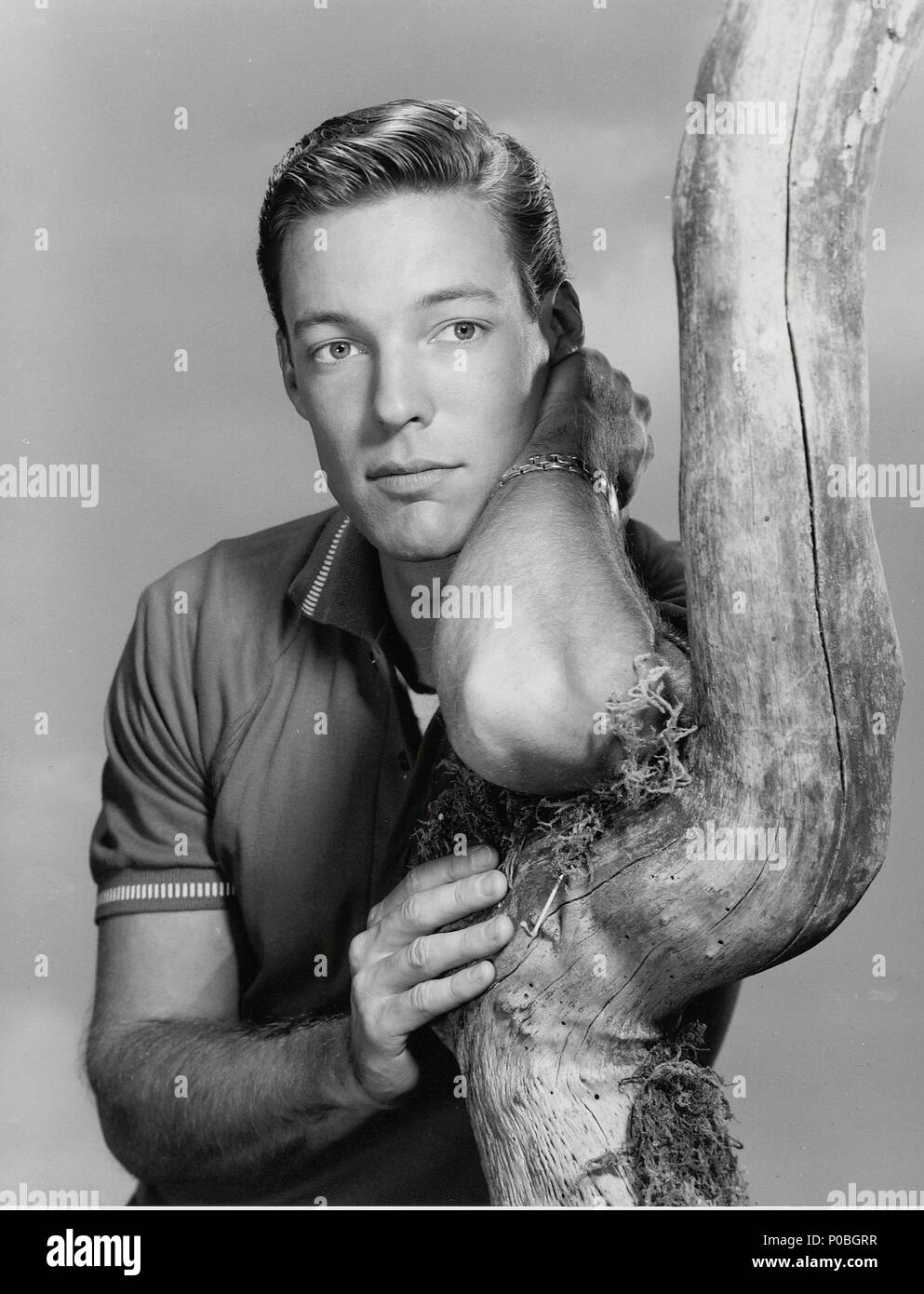 Richard chamberlain portrait Banque de photographies et d’images à ...