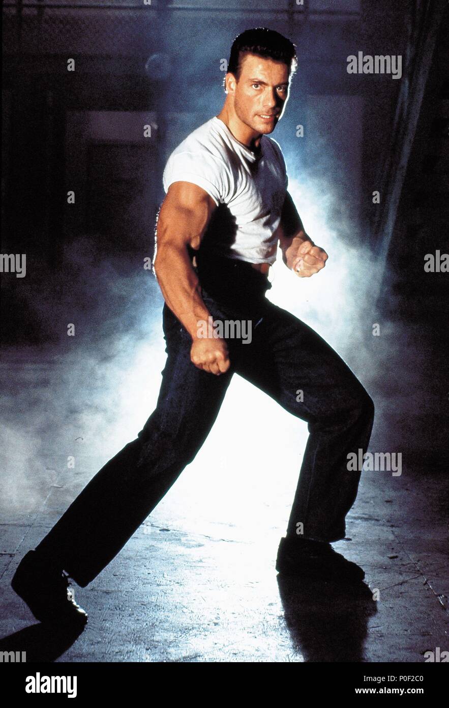 Jean Claude Van Damme Banque De Photographies Et Dimages à Haute