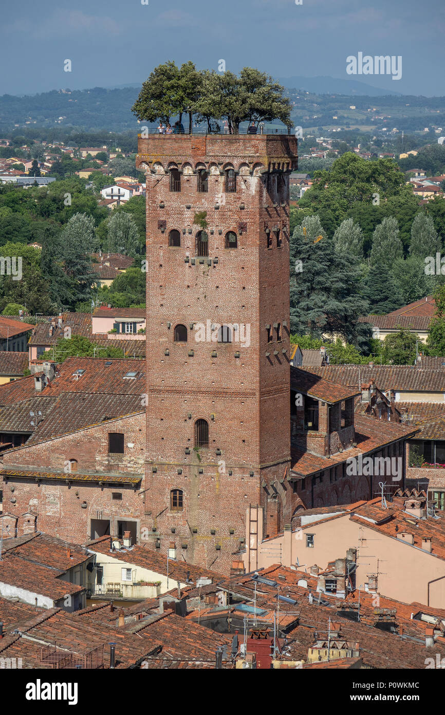 Torre guinigi Banque de photographies et d’images à haute résolution ...