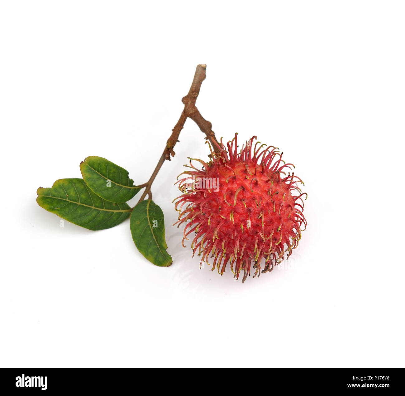 Ramboutan frais Banque de photographies et d’images à haute résolution ...