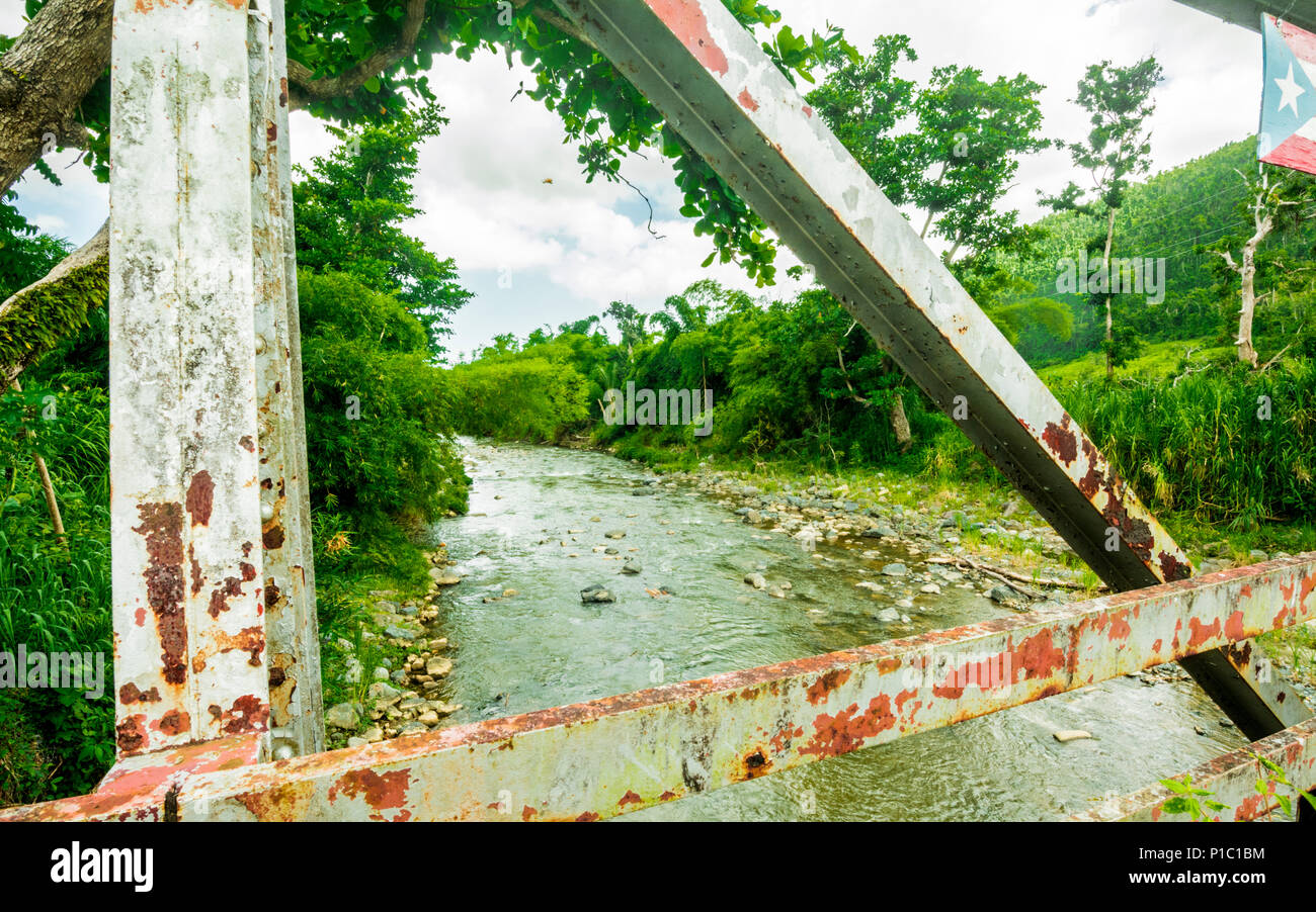 Ecosistema de puerto rico Banque de photographies et d’images à haute ...