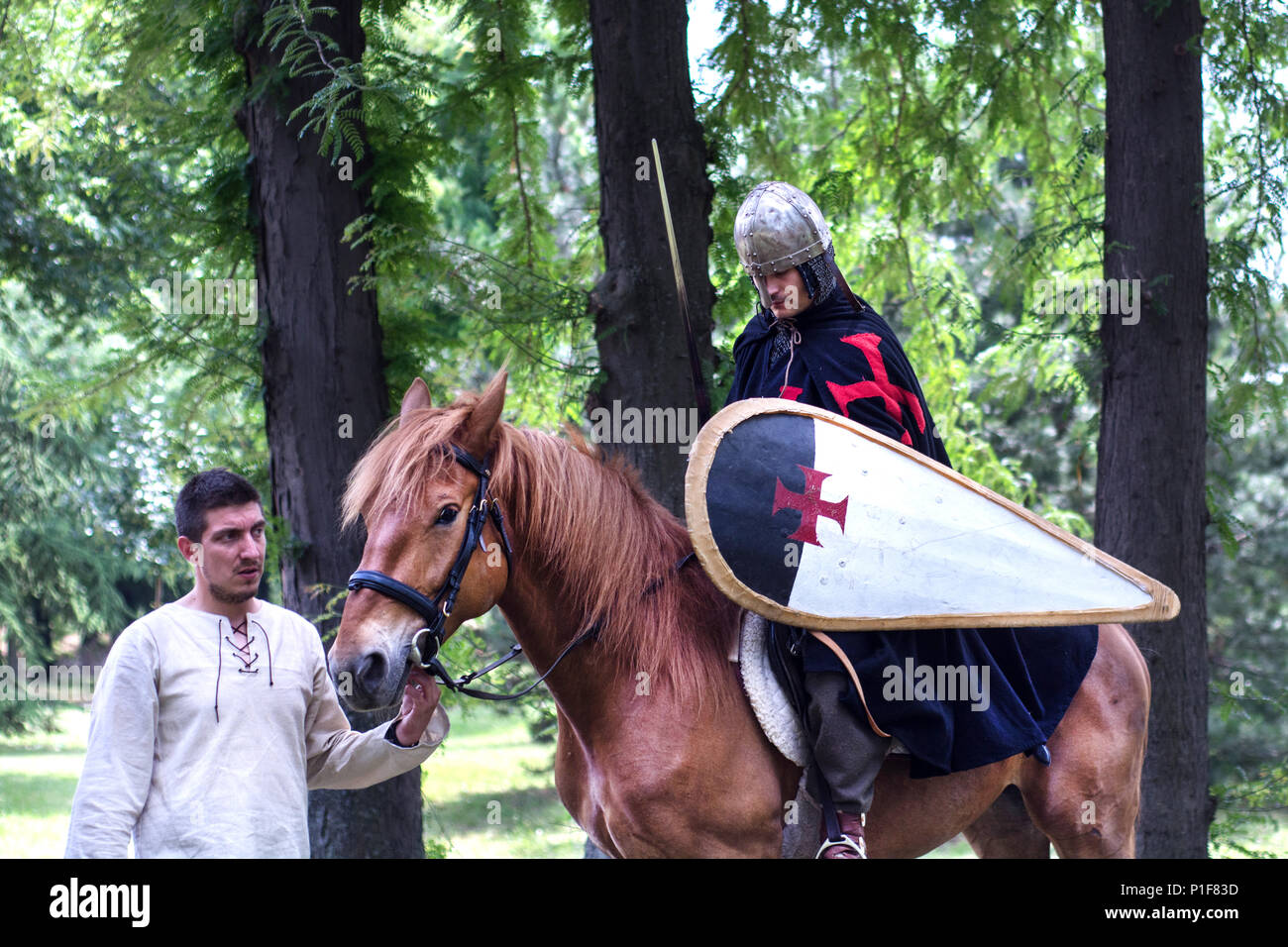 Medieval cavalry knight on military Banque de photographies et d’images ...