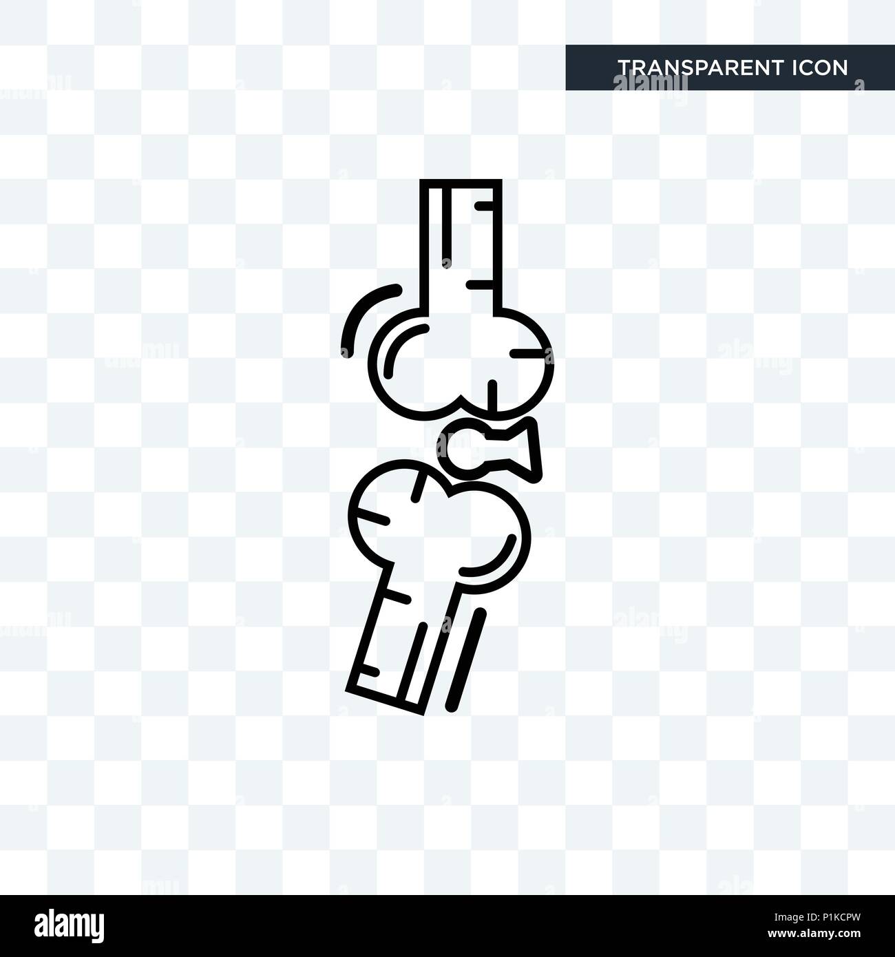 Icône vecteur commun os isolé sur fond transparent, les os concept logo ...