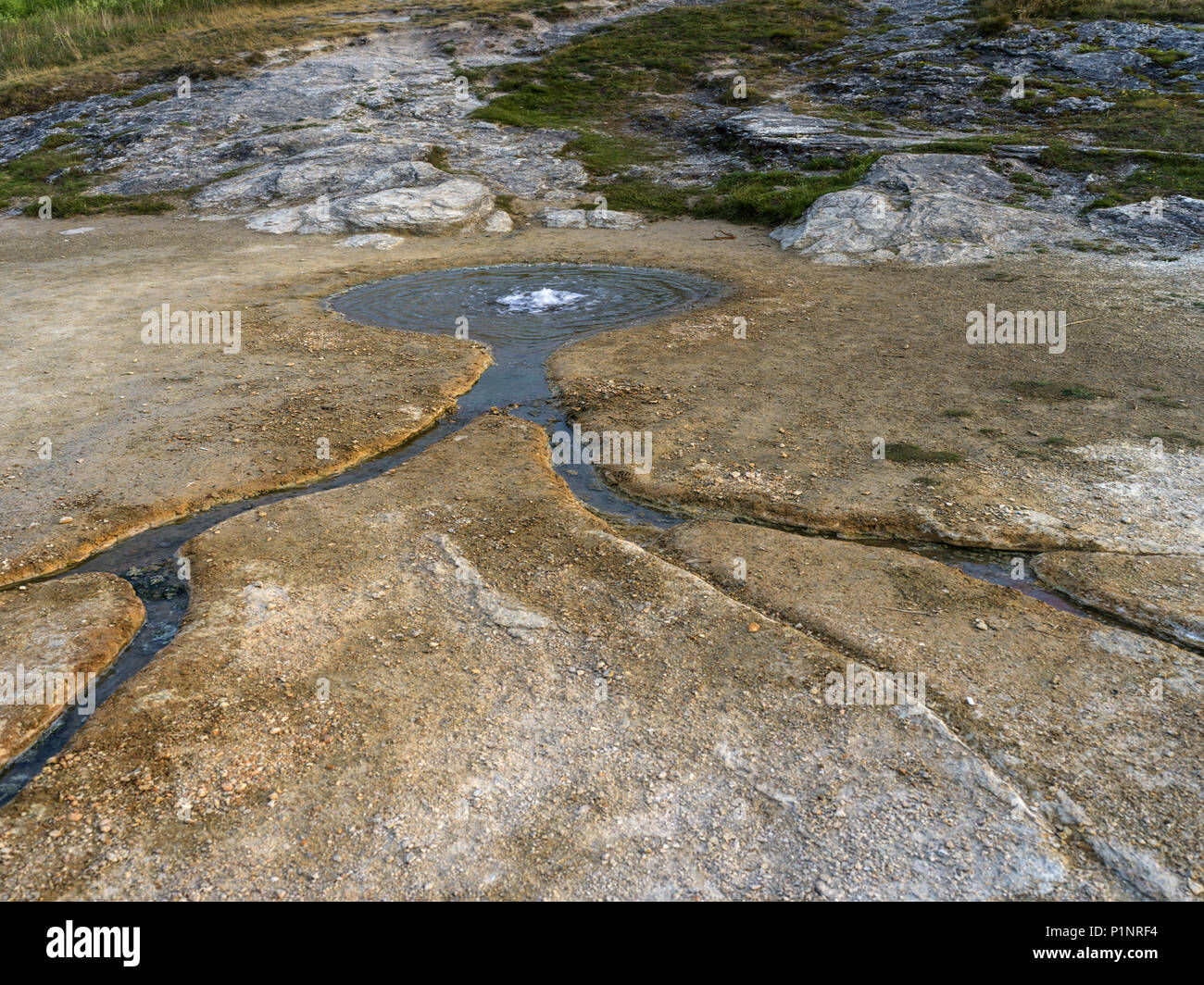 Siva brada Banque de photographies et d’images à haute résolution - Alamy