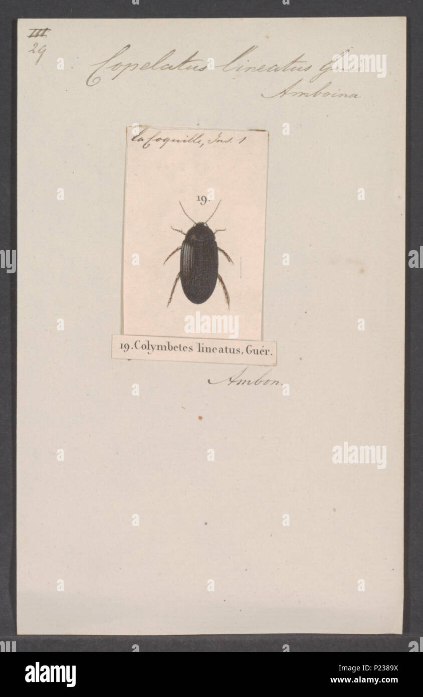 68 0050 Banque de photographies et d’images à haute résolution - Alamy