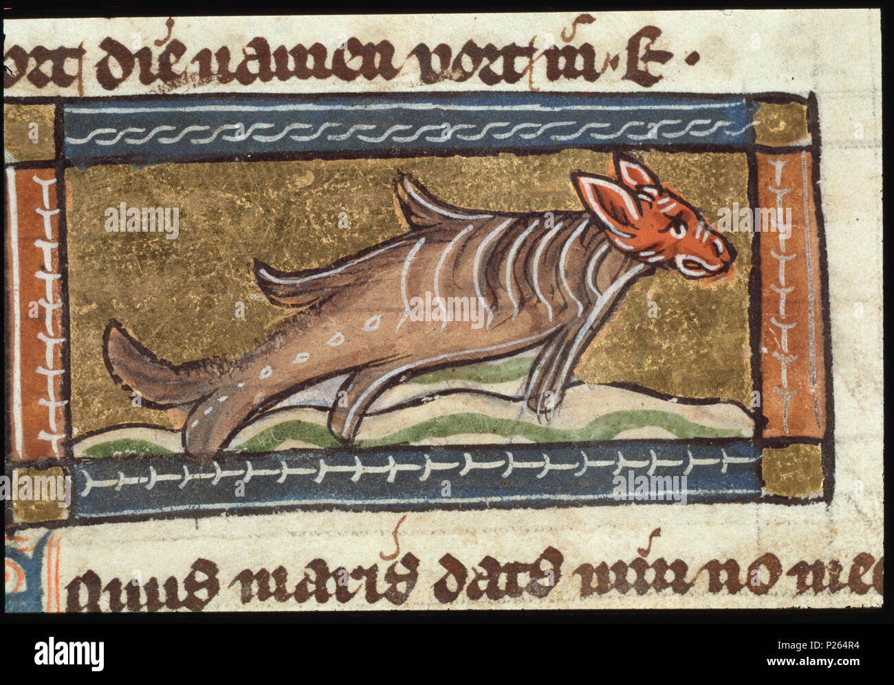 . Equus marinus (hippocampe) - miniature du folio 105r de Der naturen ...