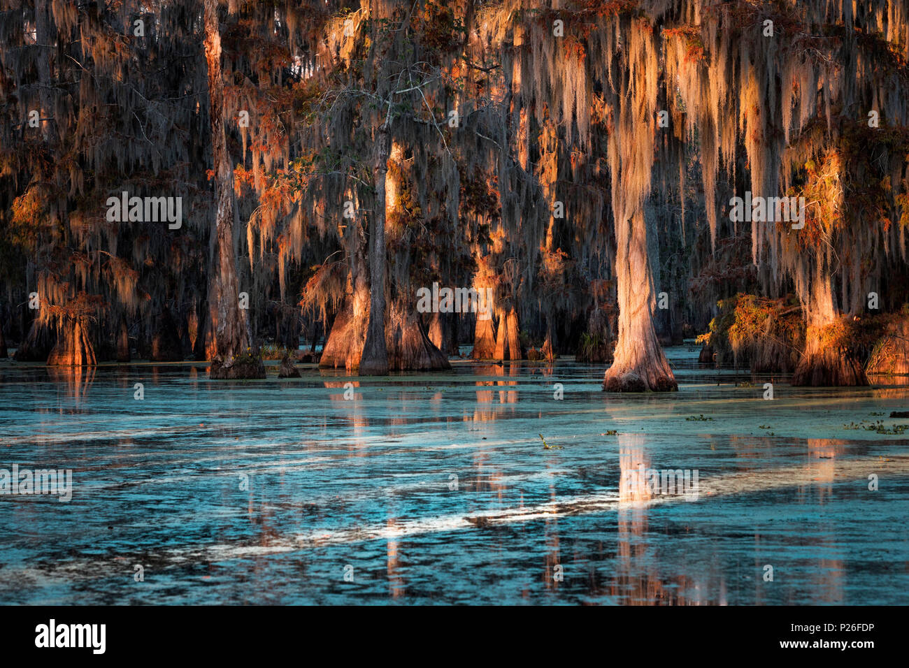 Mississipi etats unis Banque de photographies et d’images à haute ...