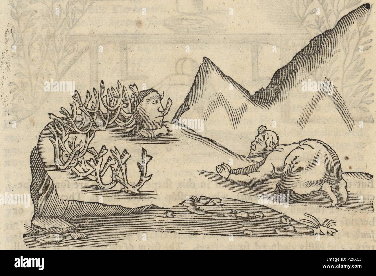 Johannes schefferus Banque de photographies et d’images à haute ...