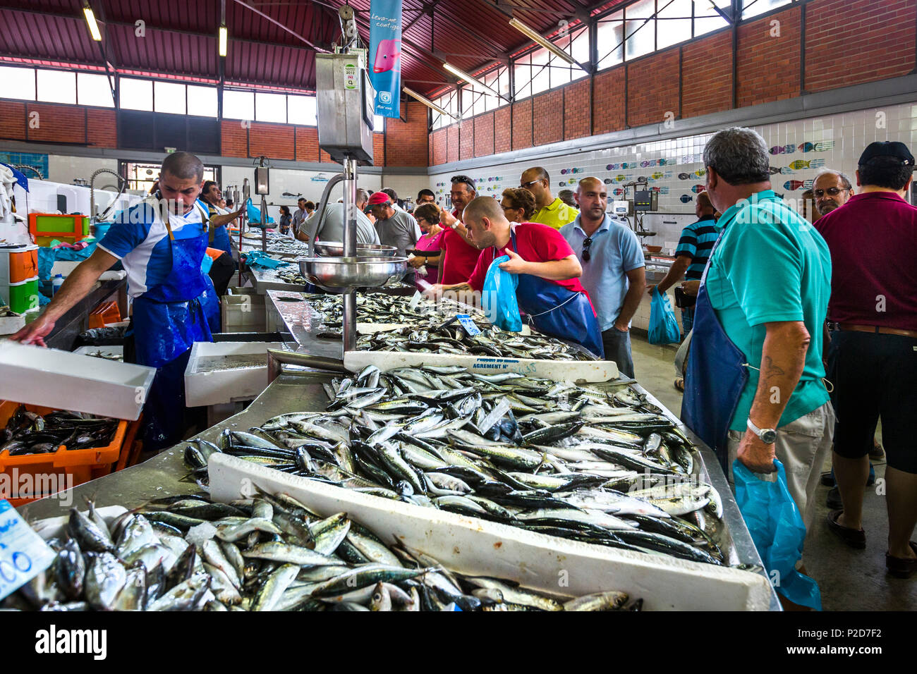 Décrochage du poisson au marché aux poissons, marché couvert, Olhao ...