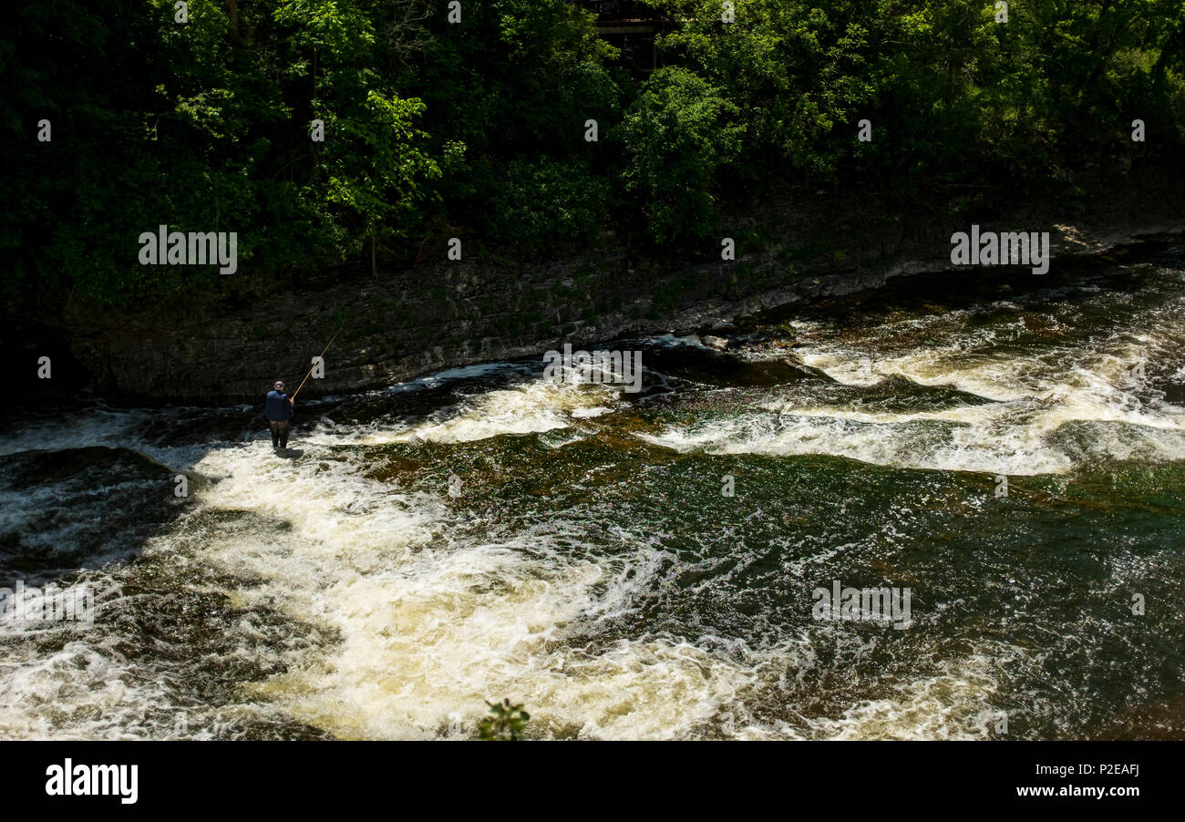 Un homme portant les bottes cuissardes de poissons dans la rivière ...