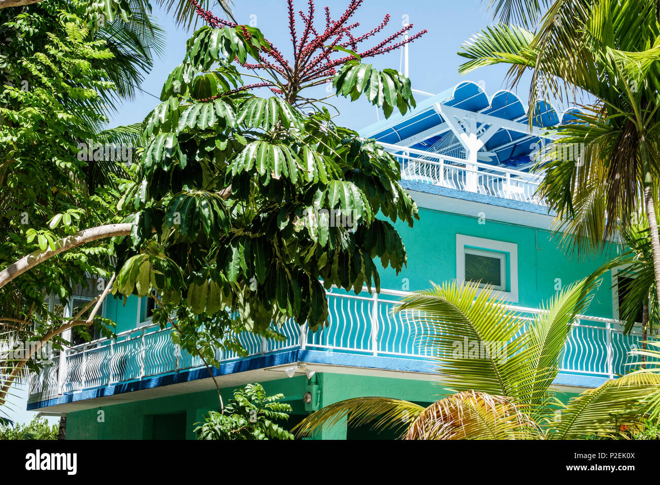 Floride,FL Sud,Upper Florida Keys,Islamorada,maison maisons résidence ...