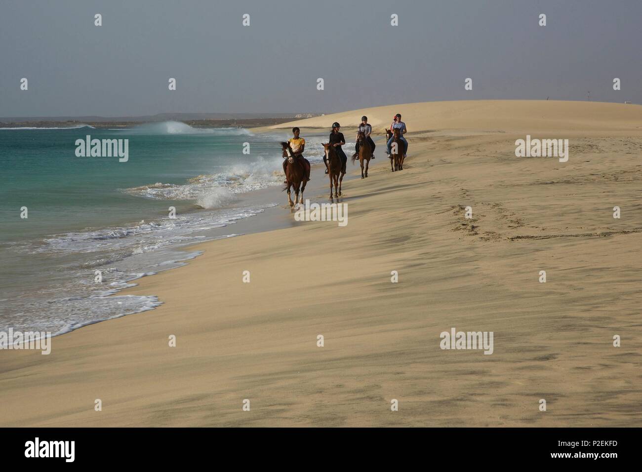 Ponta preta Banque de photographies et d’images à haute résolution - Alamy