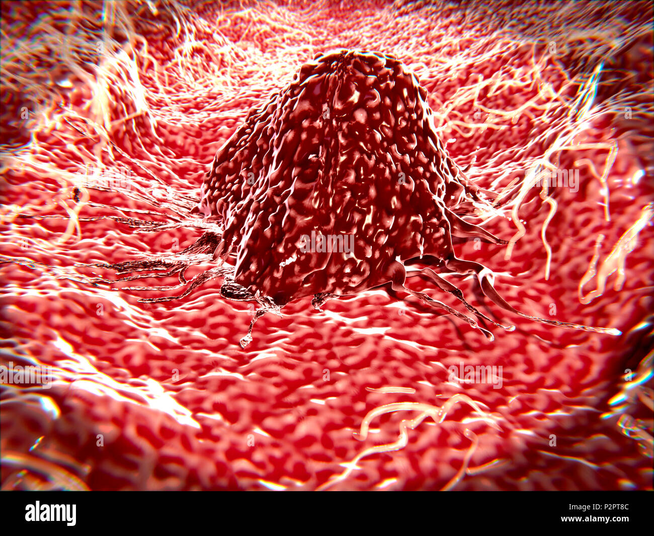 La migration des cellules de cancer. Illustration d'une cellule ...