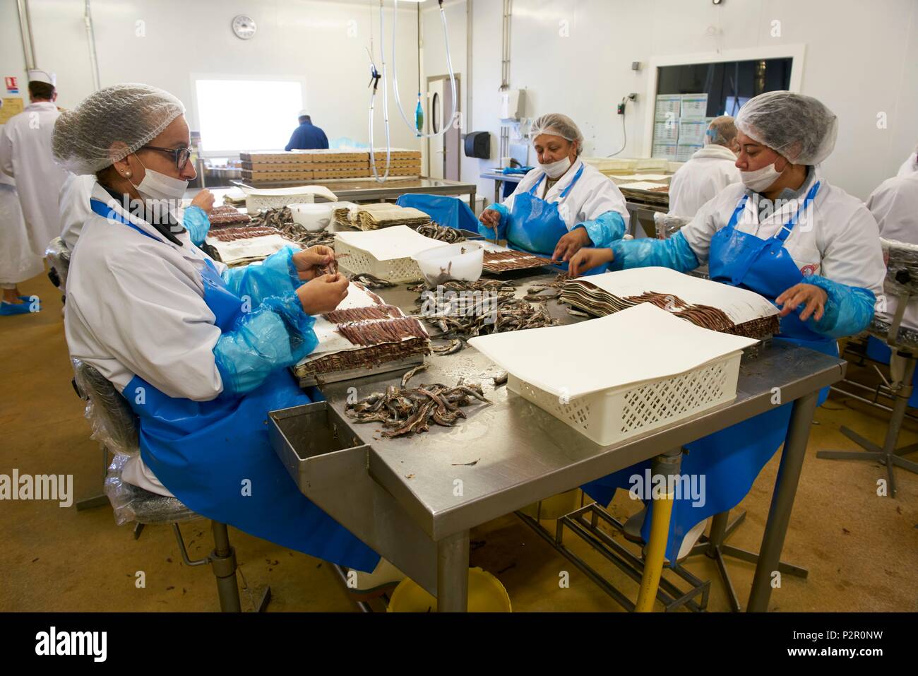 Anchois collioure roque Banque de photographies et d’images à haute ...