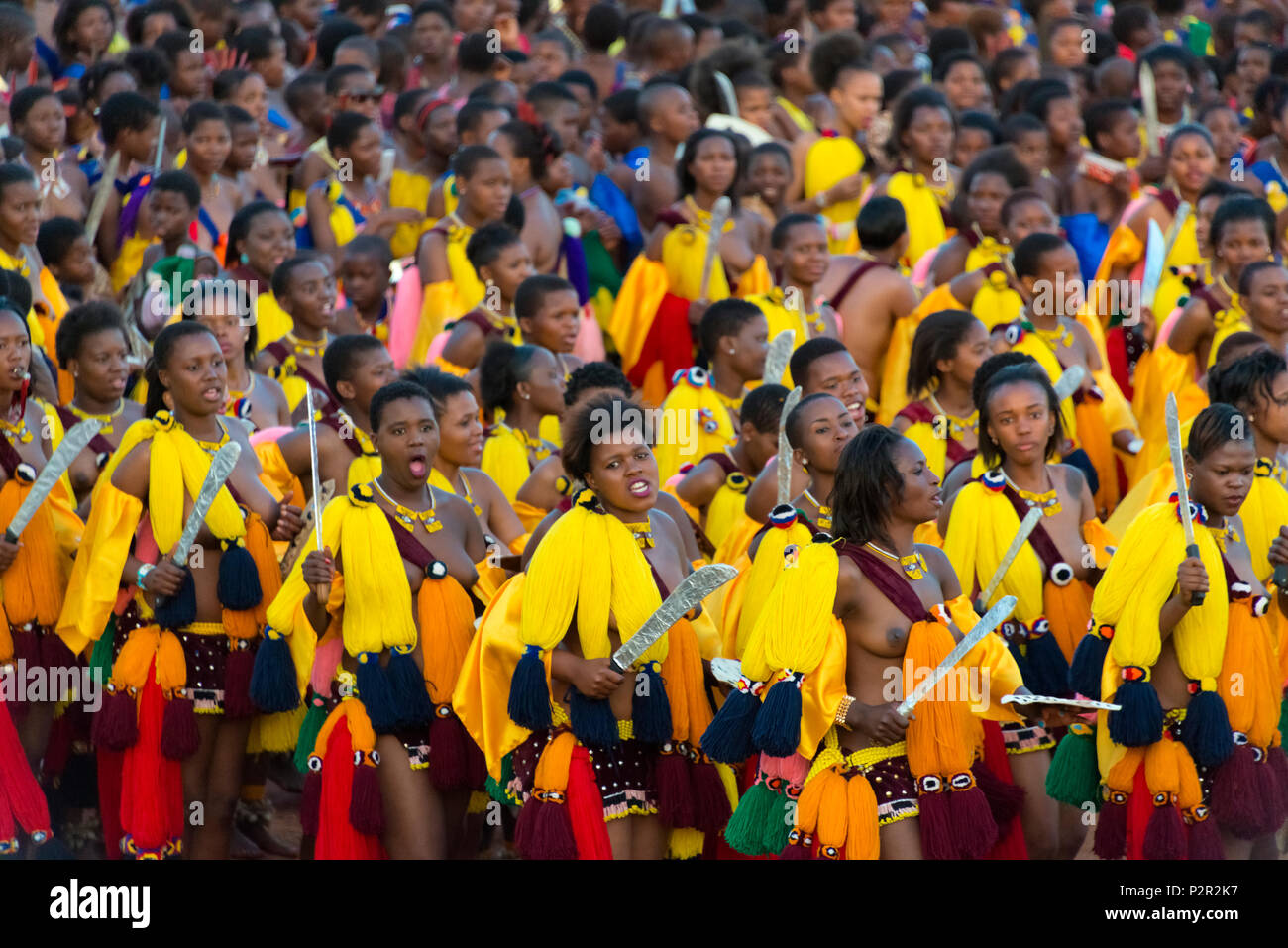 Swazi reed dance festival Banque de photographies et d’images à haute ...