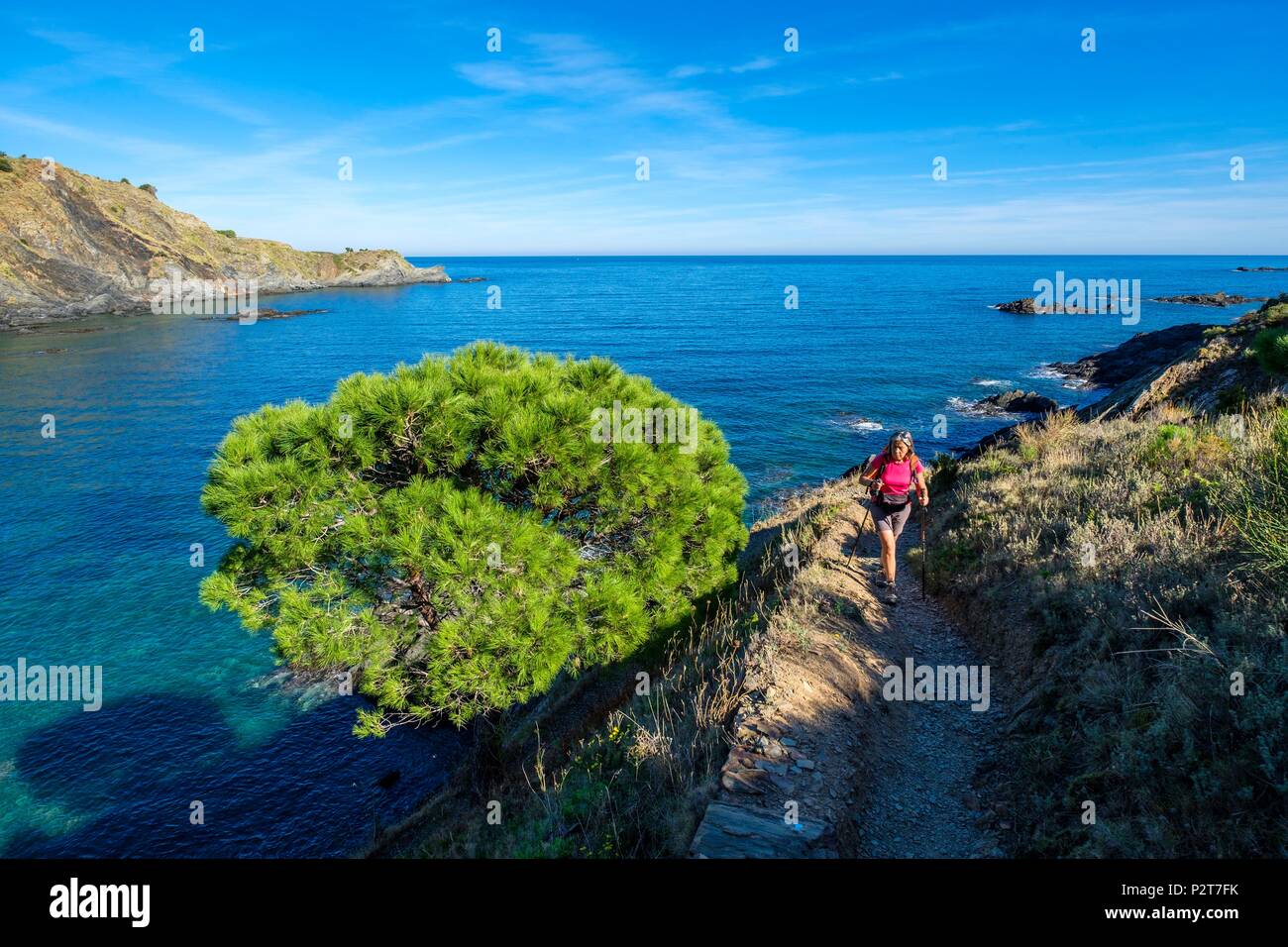 France, Pyrénées Orientales, Côte Vermeille, randonnées de Banyuls sur ...