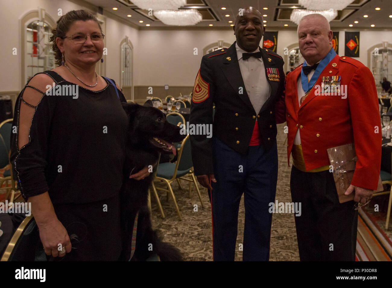 Le sergent-major de la Marine Corps Sgt. Le major Ronald L. Green ...