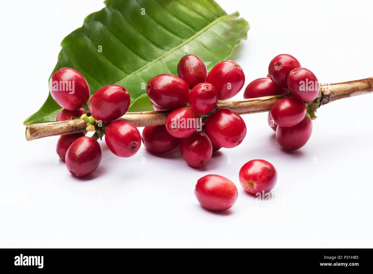 Grains de café rouge vif Banque de photographies et d’images à haute ...