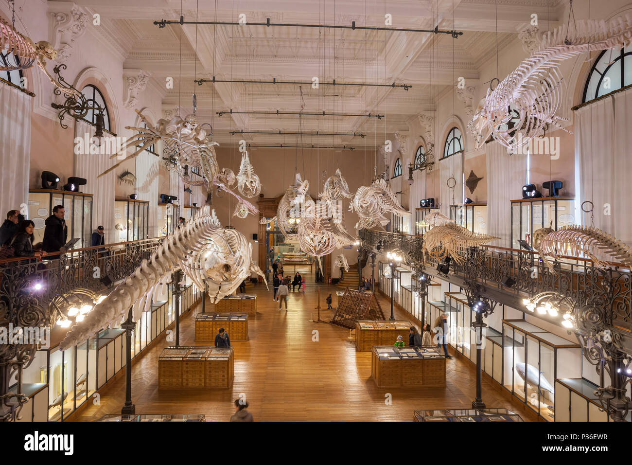 Musée océanographique monaco Banque d'image et photos - Alamy