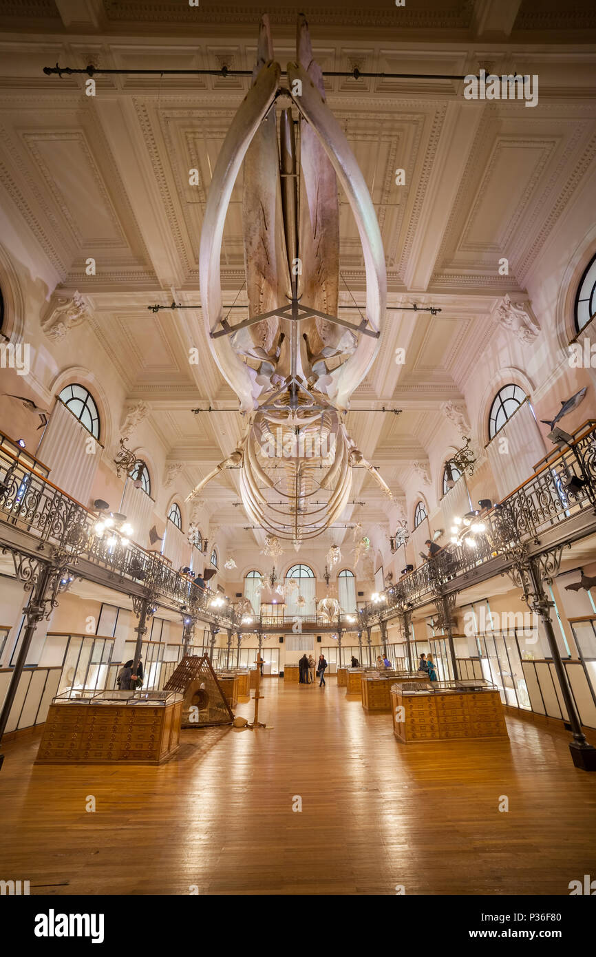 Musee Oceanographique Banque d'image et photos - Alamy