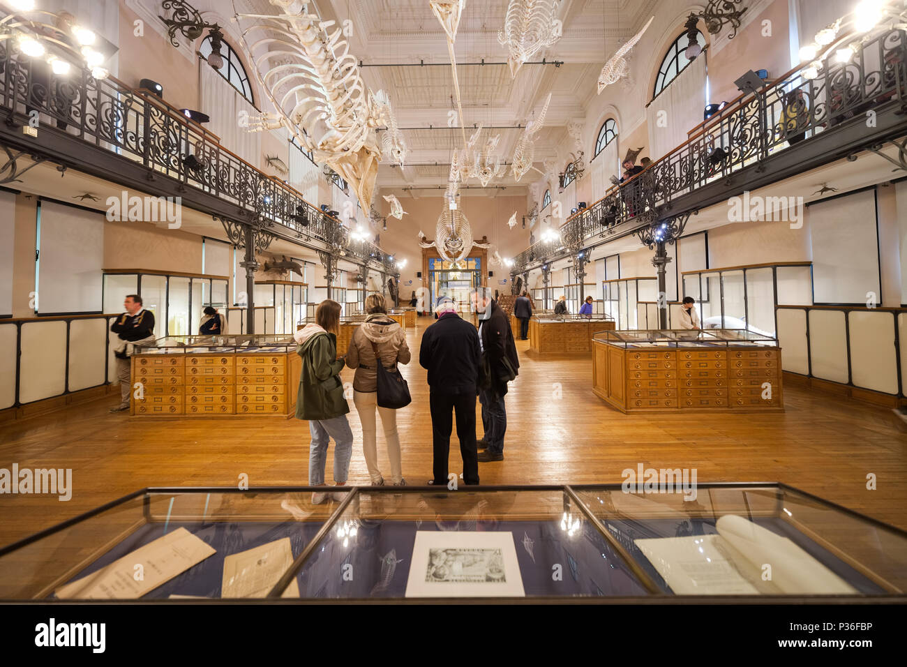Musée Océanographique de Monaco, Musée océanographique (intérieur), la ...