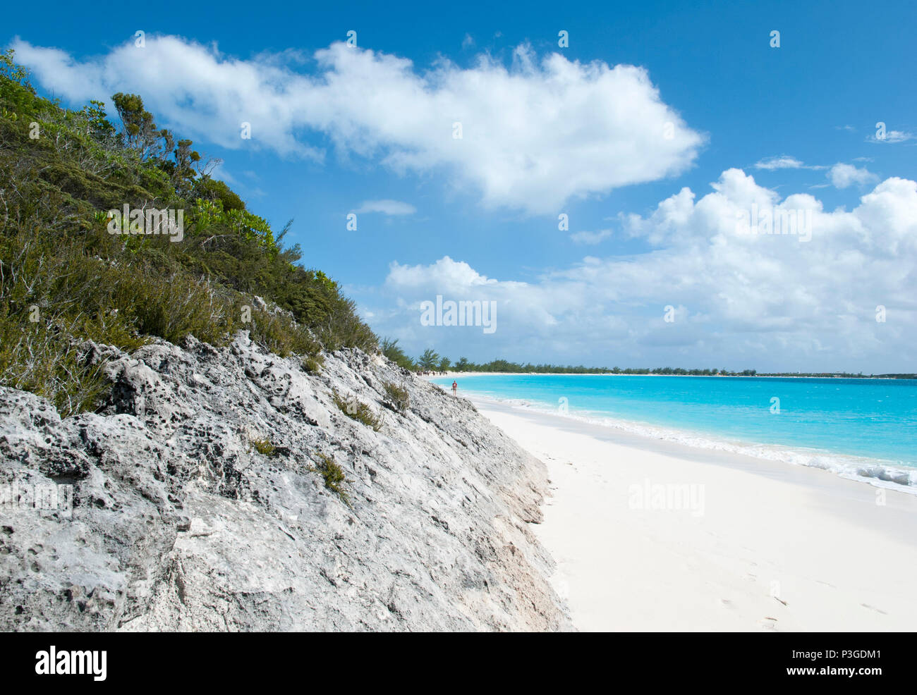 La vue d'une plage vide sur l'île inhabitée Half Moon Cay (Bahamas ...