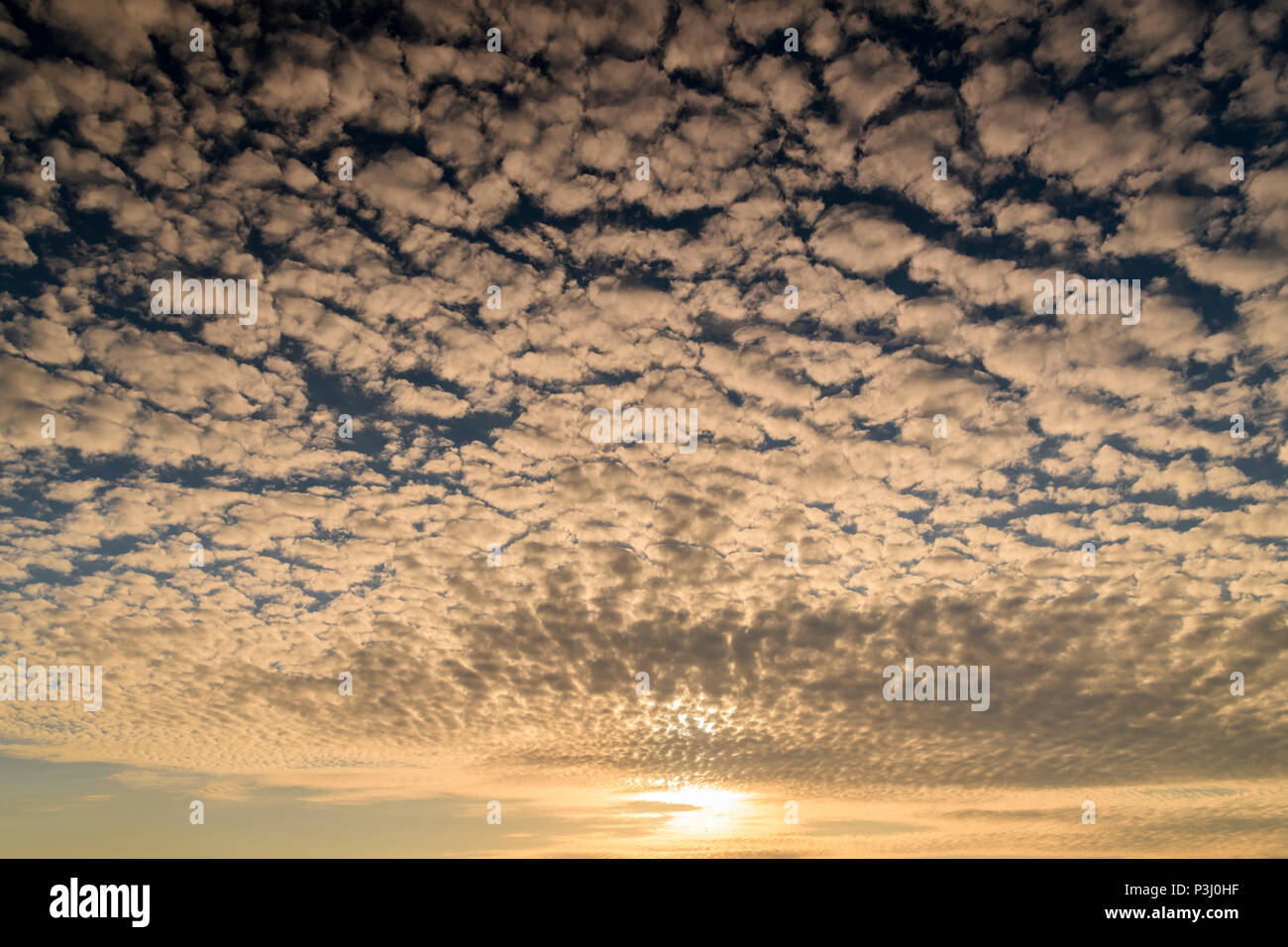 Altocumulus stratiformis clouds Banque de photographies et d’images à ...