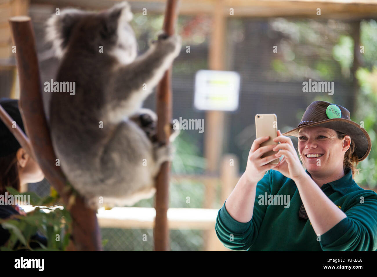 Australia Zoo Employees | Working at Australia Zoo company profile and ...