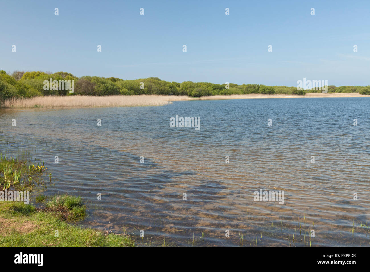Kenfig pool Banque de photographies et d’images à haute résolution - Alamy