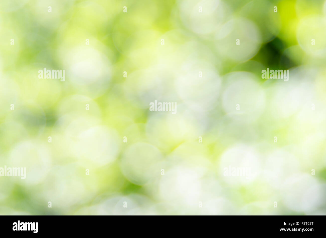 Flou vert Banque de photographies et d’images à haute résolution - Alamy
